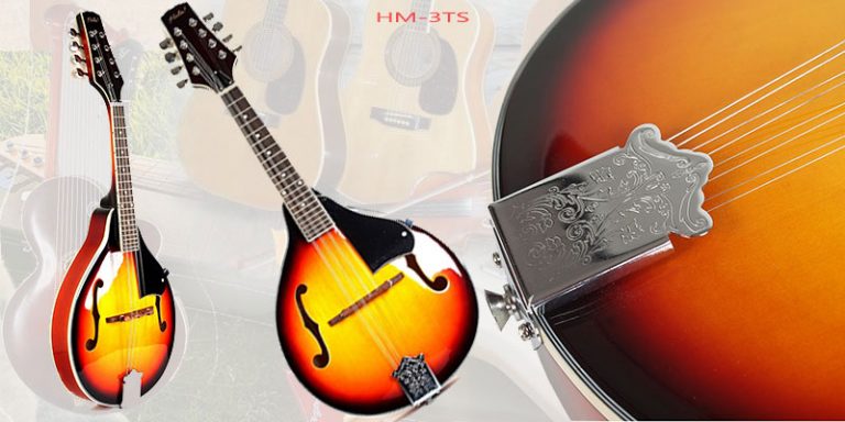 8 Best Mandolin Instrument & Top Brands of Mandolin Reviews