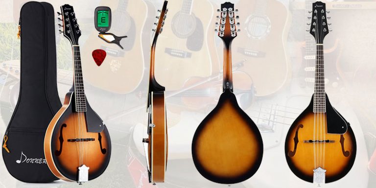 8 Best Mandolin Instrument & Top Brands of Mandolin Reviews