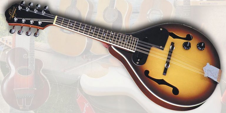 8 Best Mandolin Instrument & Top Brands of Mandolin Reviews