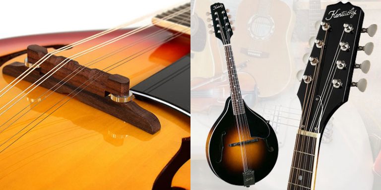 8 Best Mandolin Instrument & Top Brands of Mandolin Reviews